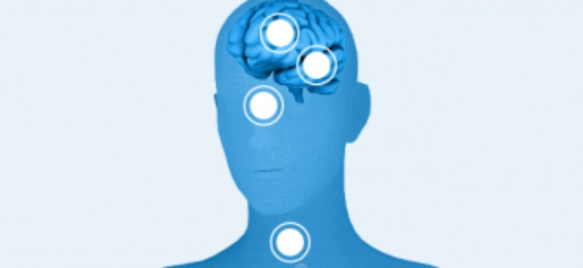 Wat is MS | MSdeBaas